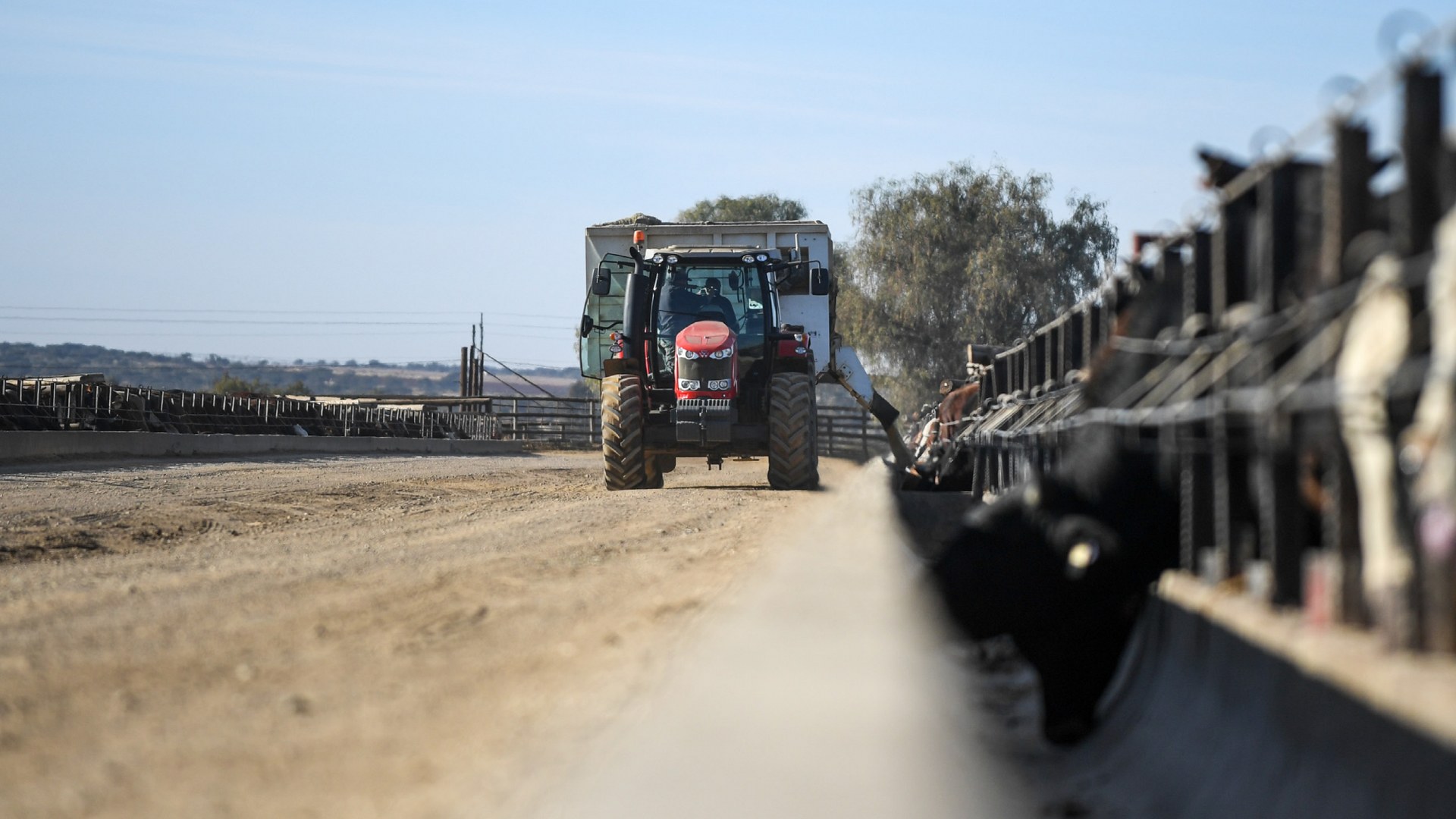Our Operations - Beefmaster Group | A Cut Above The Rest