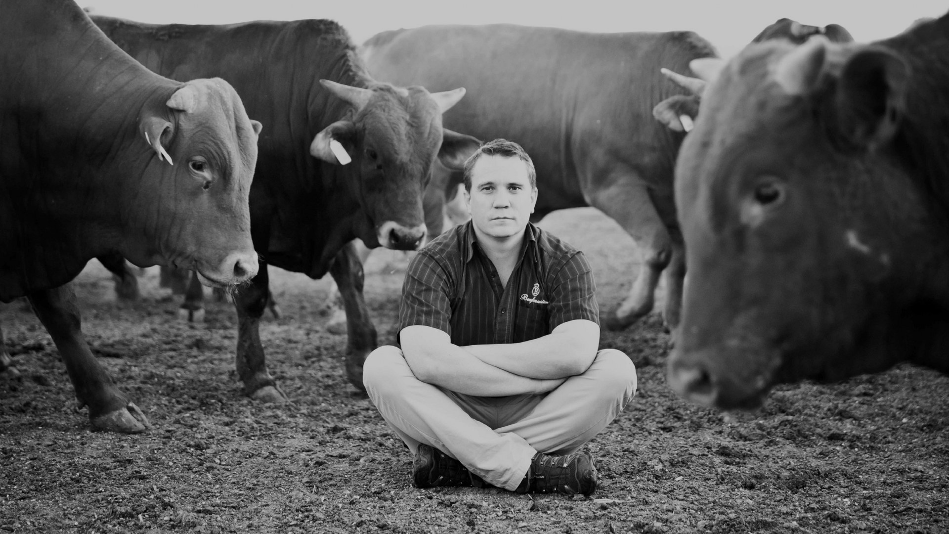 Our Story - Beefmaster Group | A Cut Above The Rest