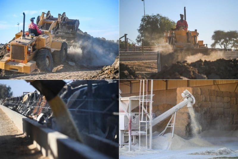 Feedlot Operations & Process Overview - Beefmaster